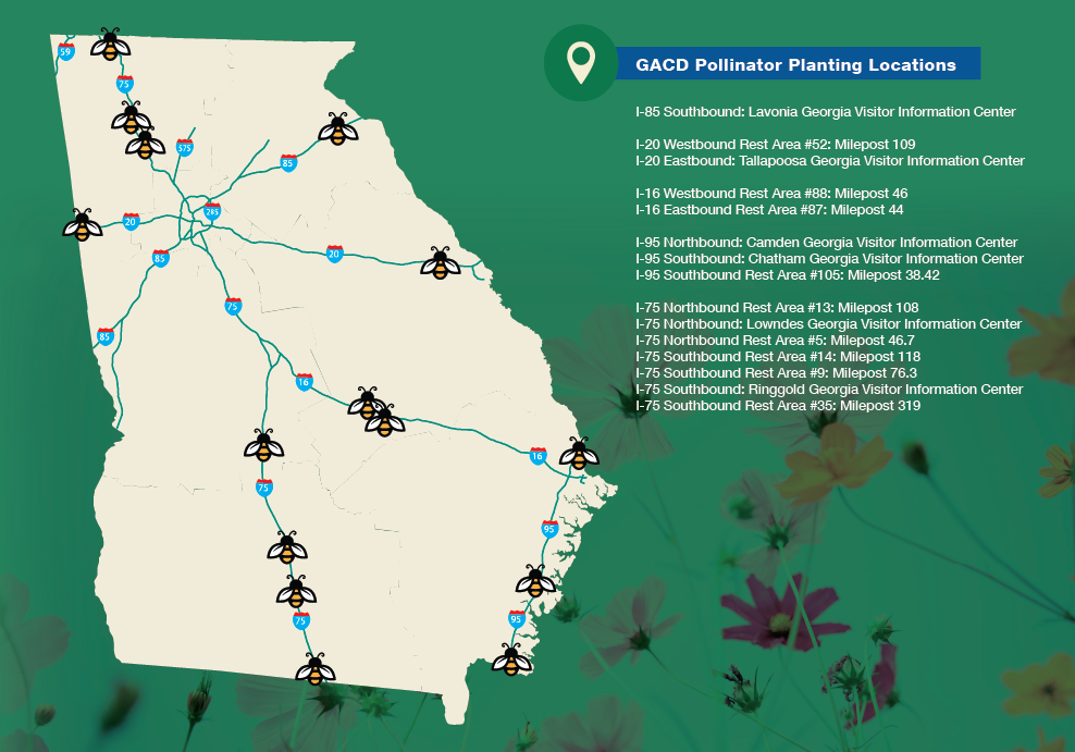 Georgia's Pollinators