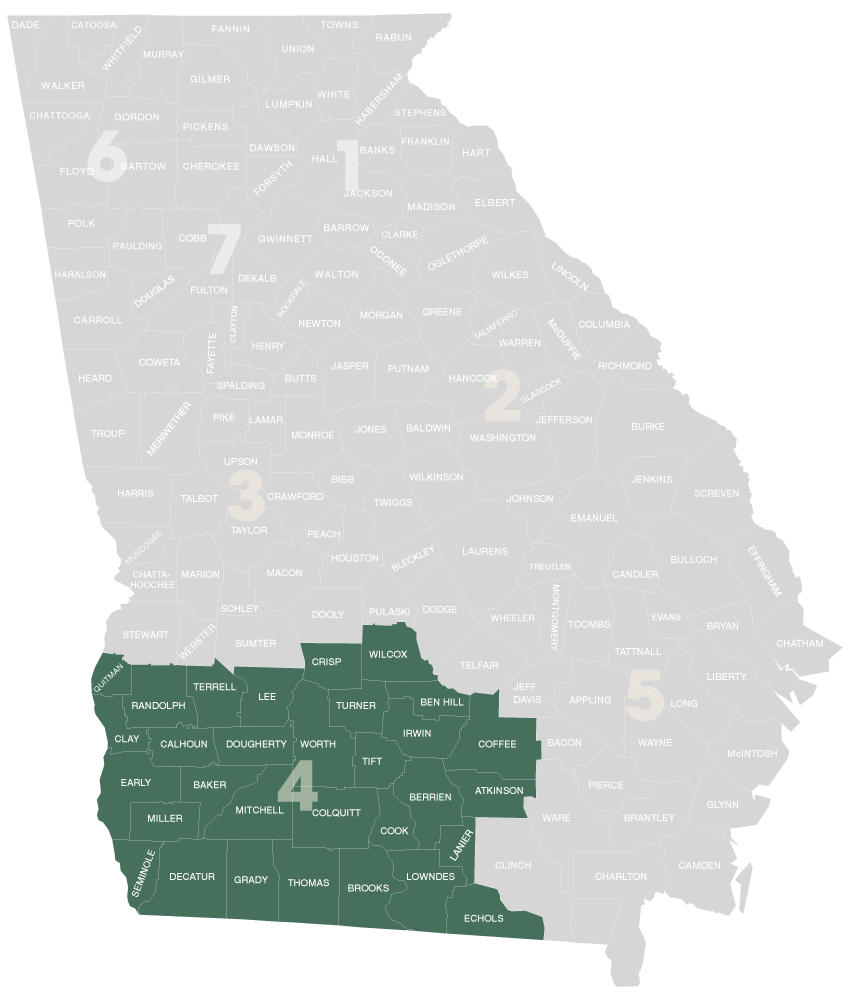 About GDOT